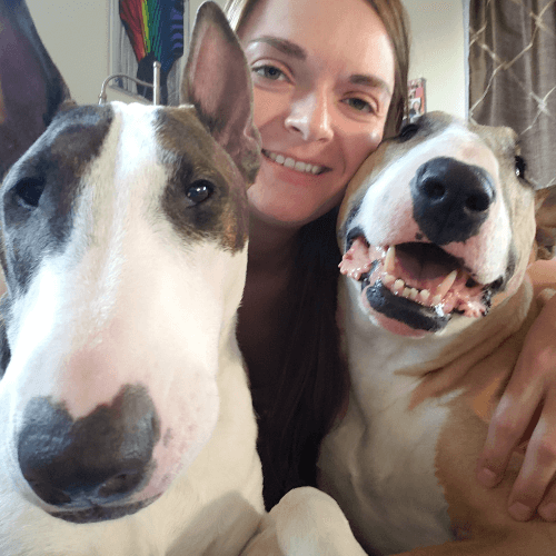 Our Team of Pet Nutrition Experts | The Happy Beast