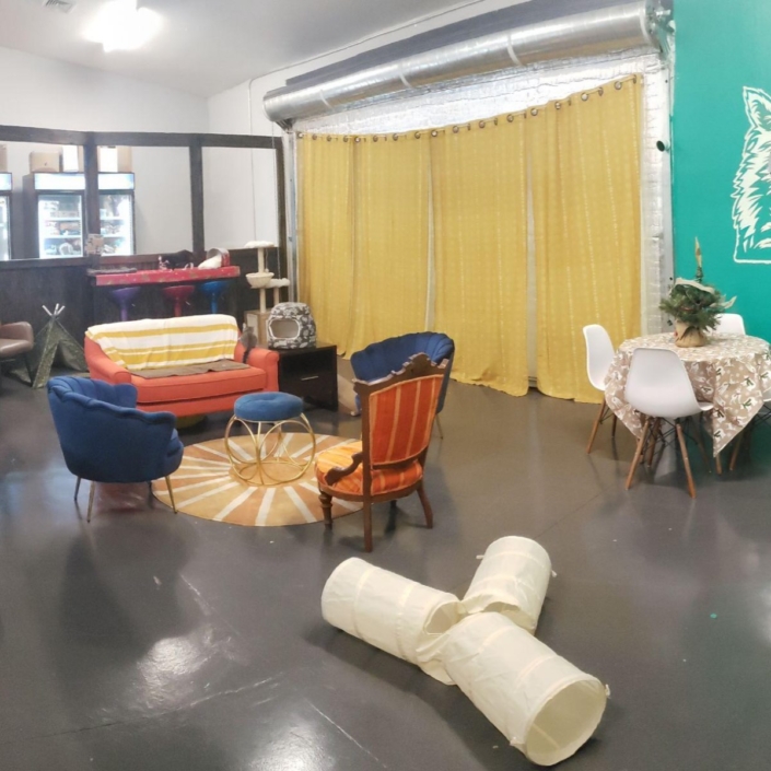 Cat Cafe in Lafayette, CO | The Happy Beast