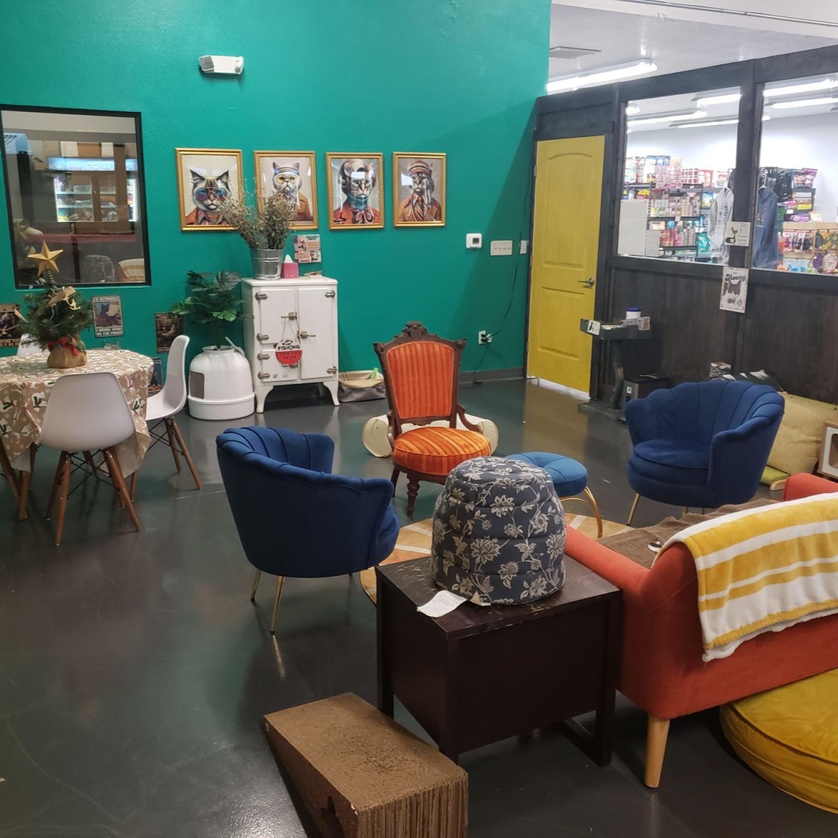 Cat Cafe in Lafayette, CO | The Happy Beast